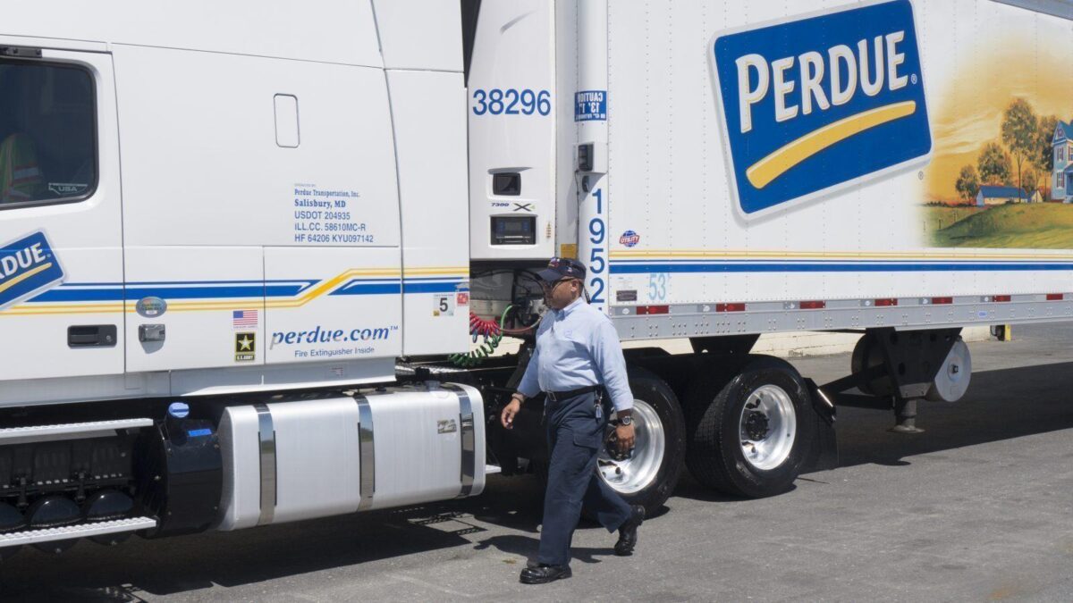 Perdue Farms Created A New Meatpacking Foam That Dissolves In Your Sink ...
