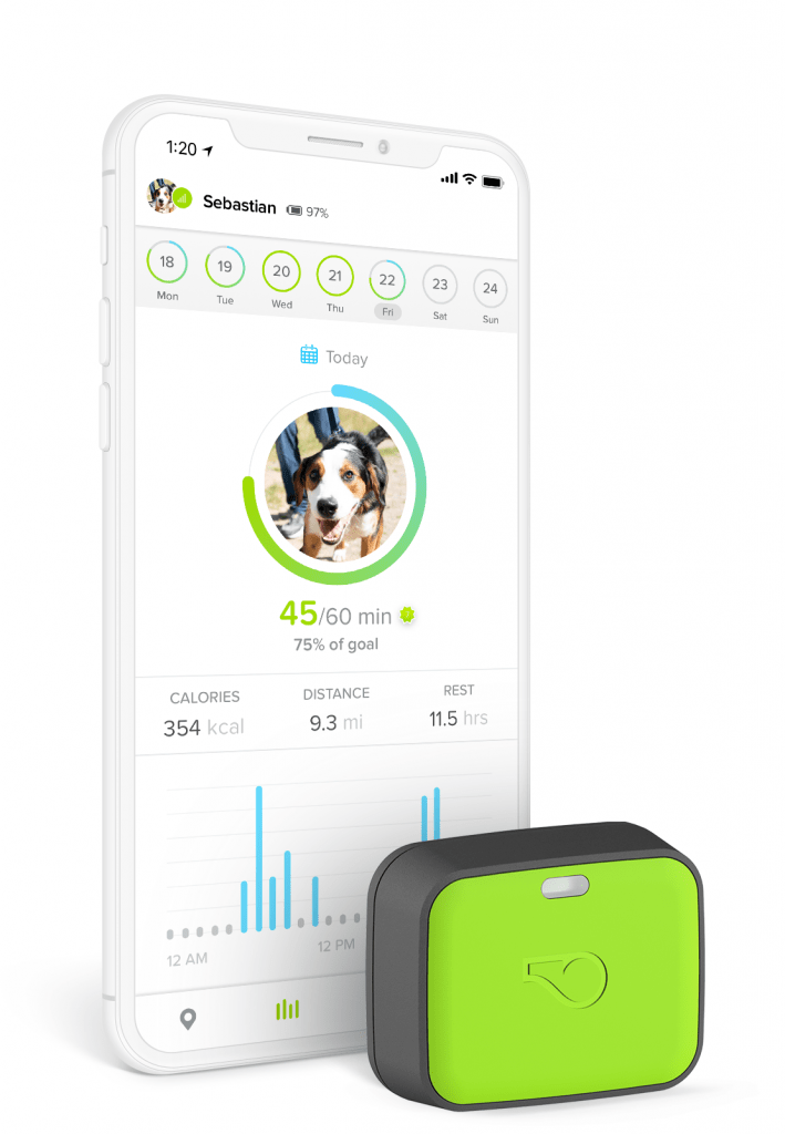 Show and Tell: Unboxing the Whistle Pet GPS and Fitness Tracker - Grit ...