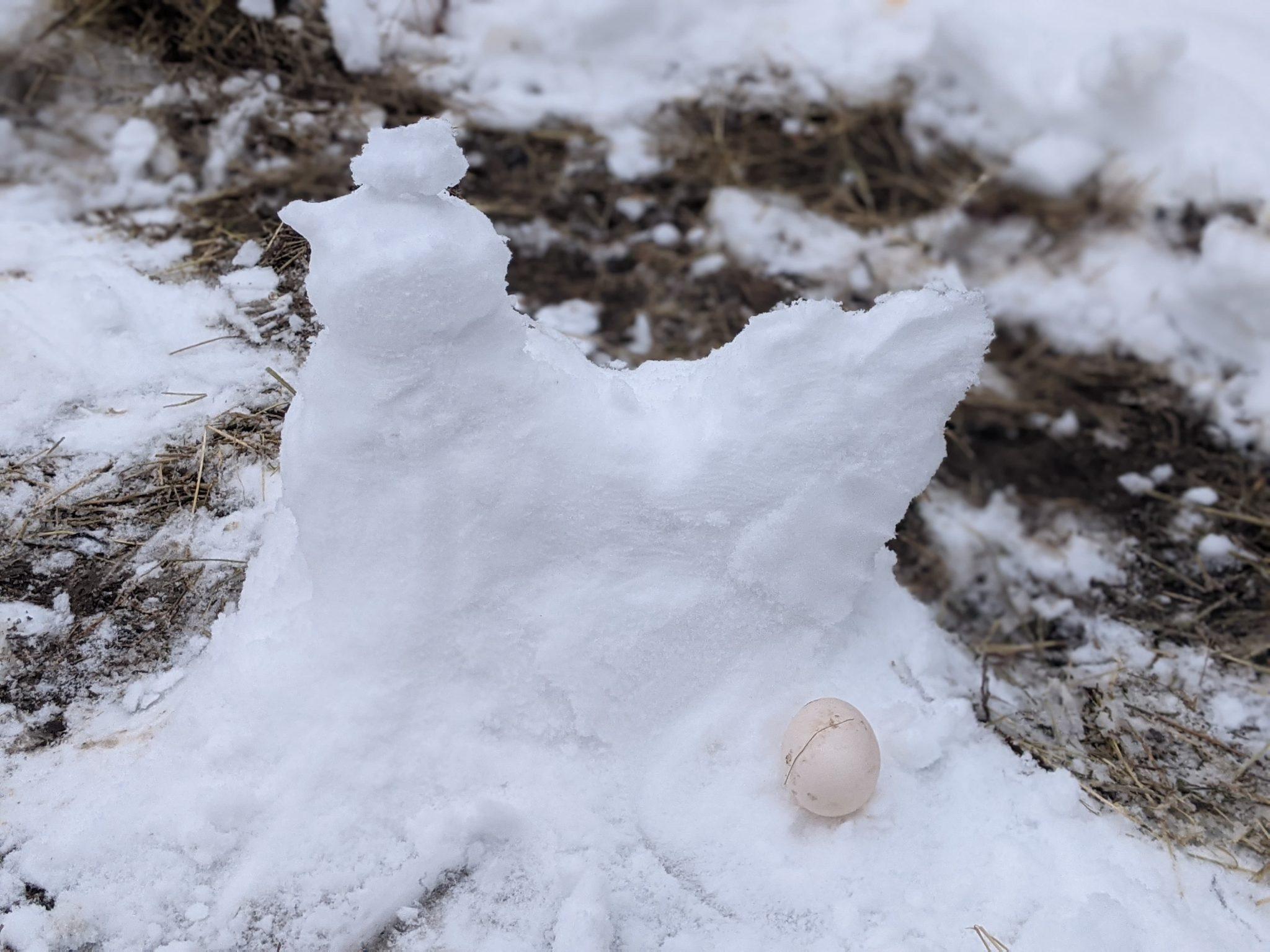 Life in Texas During Snowmageddon, Plus, How to Help Texans in Need