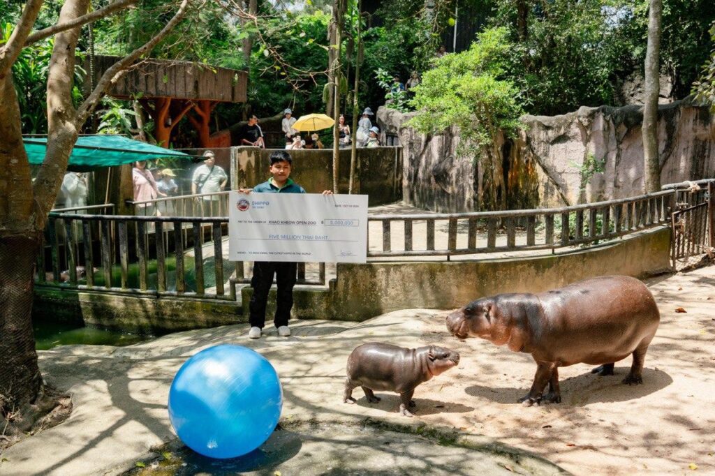 SUI meme $HIPPO enters into charity partnership with Moo Deng’s zoo ...
