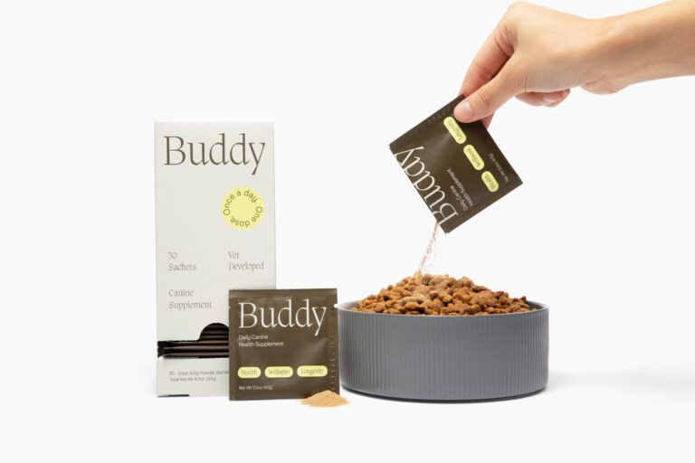 Leading Pet Content Creator Maddie Guy Founds Buddy to Bring Real ...