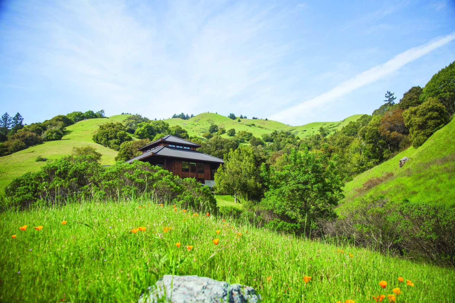 The Spirit Rock Story: Ancient Secrets for Modern Times - Grit Daily News