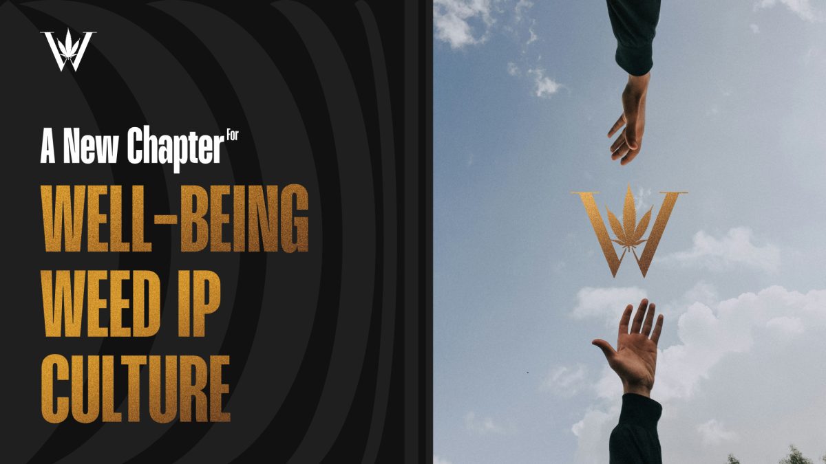 Weed Launches Global Well-Being Platform Powered by AI - Grit Daily News