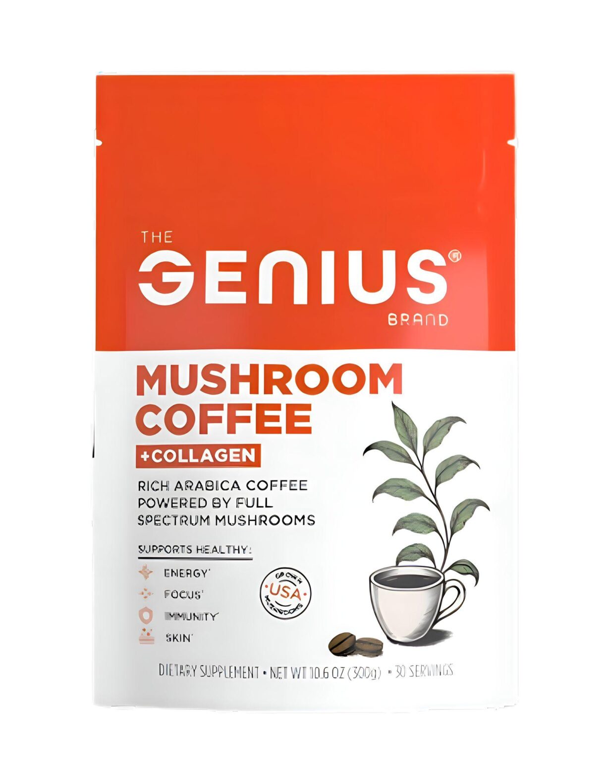 7 Mushroom Based Products That Support Brain Health Without Stimulants ...