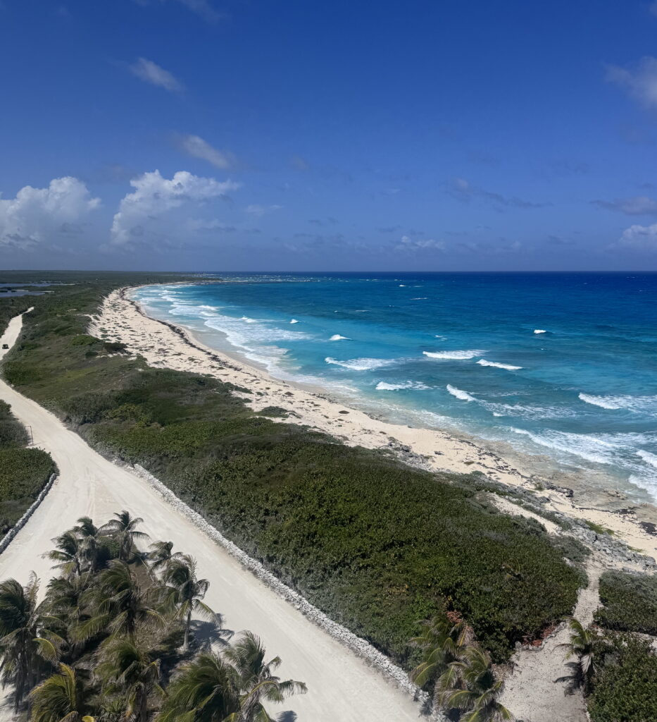 From Reef to Regeneration: Why Cozumel Matters This World Ocean Day ...